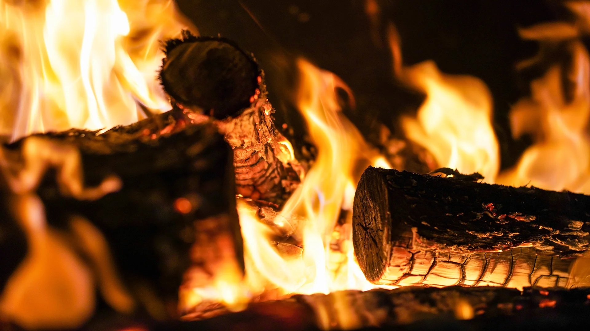 Quale legna usare per il forno da pizza? - Clementi S.r.l.